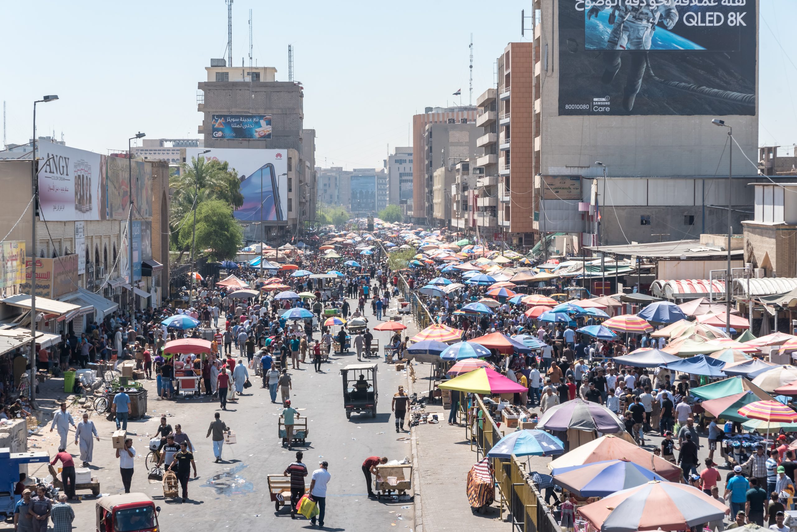 Undemocratic Parties in a 'Democratic' System: The Formation and ...