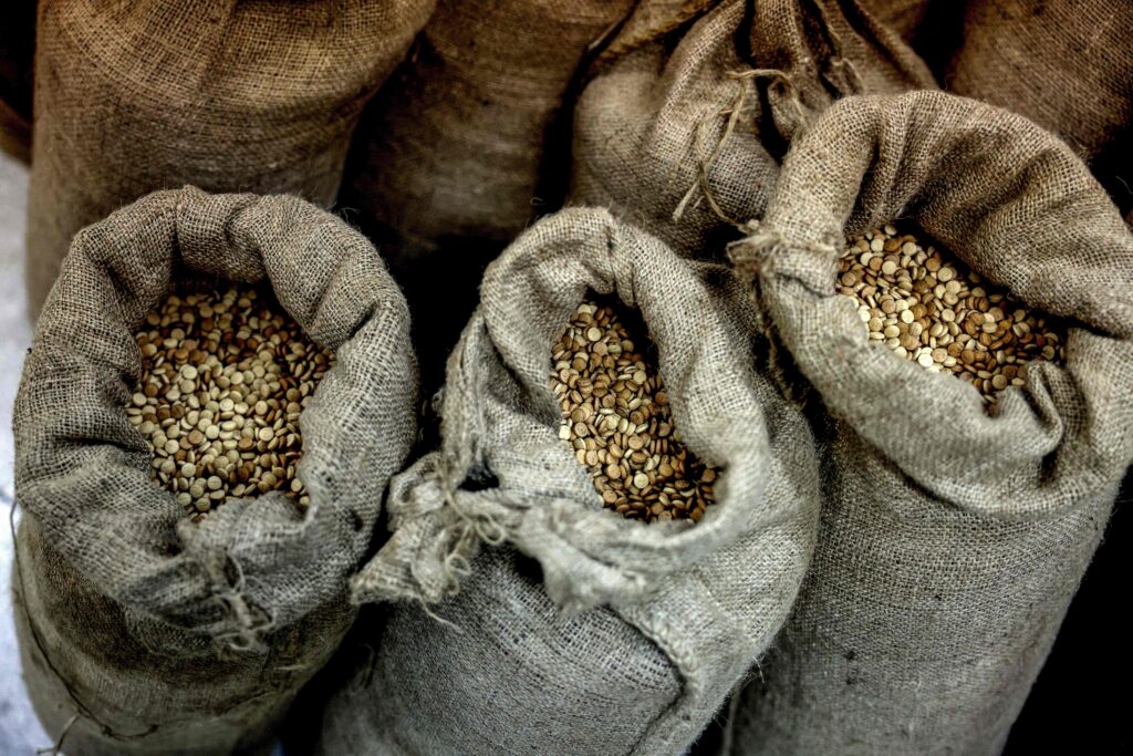 Captagon flows through Iraq and Jordan - XCEPT