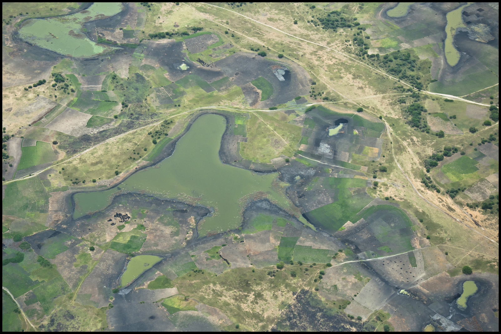 What can we learn from regional and local efforts to manage the effects ...