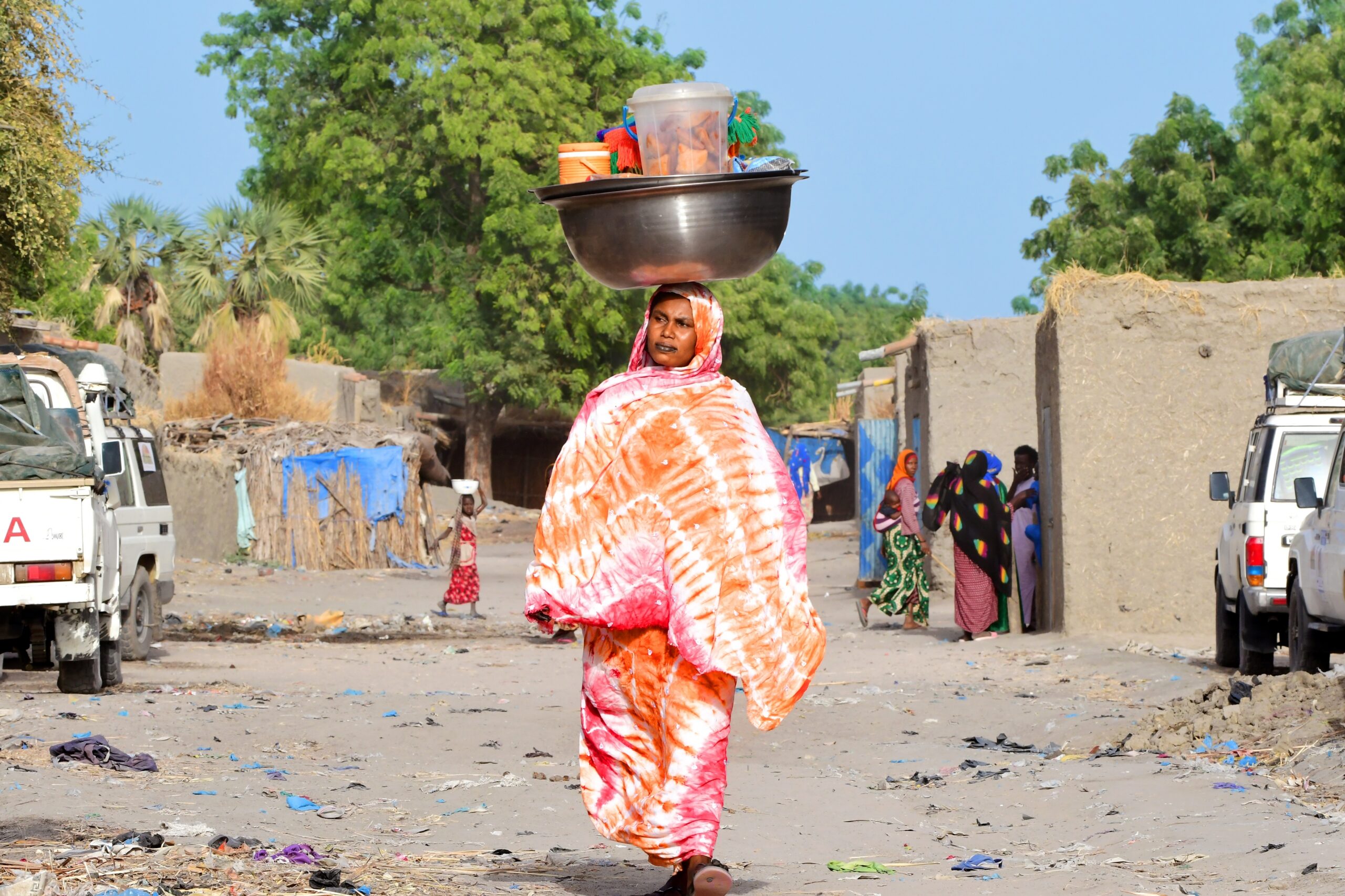 Responding to climate change-related insecurity in the Lake Chad region ...